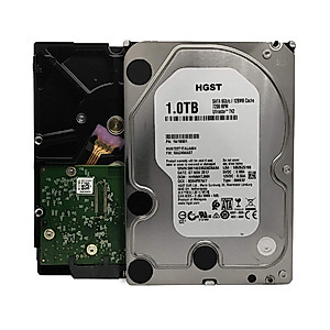 HGST Ultrastar 7K2 (1W10001) HUS722T1TALA604 1TB 128MB Cache 7200RPM SATA 6Gbps 3.5in Datacenter Hard Drive (Renewed)