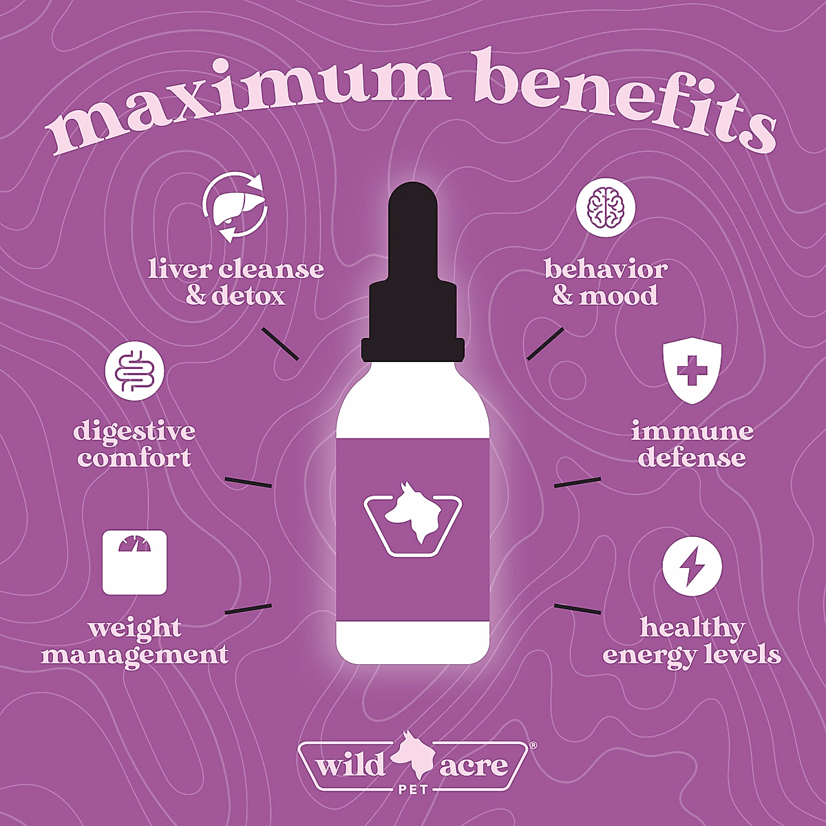 Wild Acre Milk Thistle for Dogs - Max Strength Liver Support, Cleanse & Detox - Natural Bacon Flavor - Simply Add to Food - Picky Pup Approved, 2 oz (60mL)