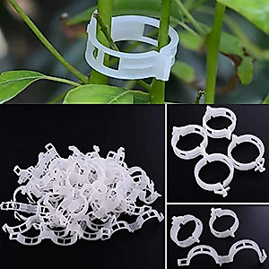 100PCS Plant Support Garden Clips Tomato Clips Supports/Connects Plants/Twine/Vines Trellis/Cages Plant Vine Vegetable Fastening Clip Grafting Tools Make Plant Grow Upright and Healthier (100PCS)