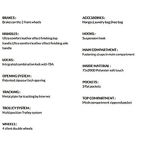 DELSEY Paris Chatelet Hard+ Hardside Luggage with Spinner Wheels, Champagne White, Checked-Medium 24 Inch