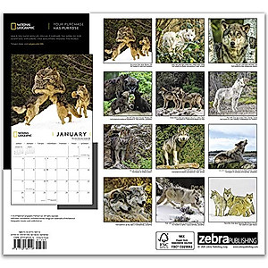 National Geographic Wolves 2021 Wall Calendar