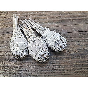 Premium California White Sage 4 Inch Smudge Sticks - Torch Wands Home Cleansing, Fragrance, Meditation, Yoga, Blessing, Smudging Rituals, New Home (3 Pack)