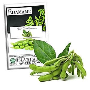 Midori Giant Edamame Seeds for Planting, 25+ Heirloom Seeds Per Packet, (Isla's Garden Seeds), Non GMO Seeds, Botanical Name: Glycine max, Great Home Garden Gift