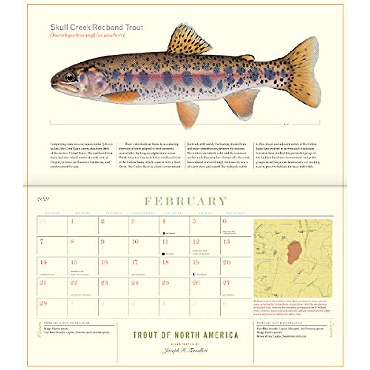 Trout of North America Wall Calendar 2021