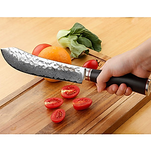 YOUSUNLONG Breaking Knife Bull Nose Butcher Knife 8" Japanese 67 Layers Hammered Damascus Steel with Natural Leadwood Handle
