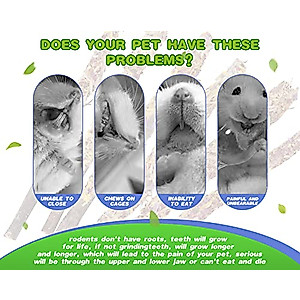 Abizoo Bunny Chew Toys for Rabbits,18PCS Natural Apple Wood Sticks with Petals Good for Chinchillas Guinea Pig Hamster Teeth Care, Bunny Small Pet Treats Teething Toys| Natural Organic Safe