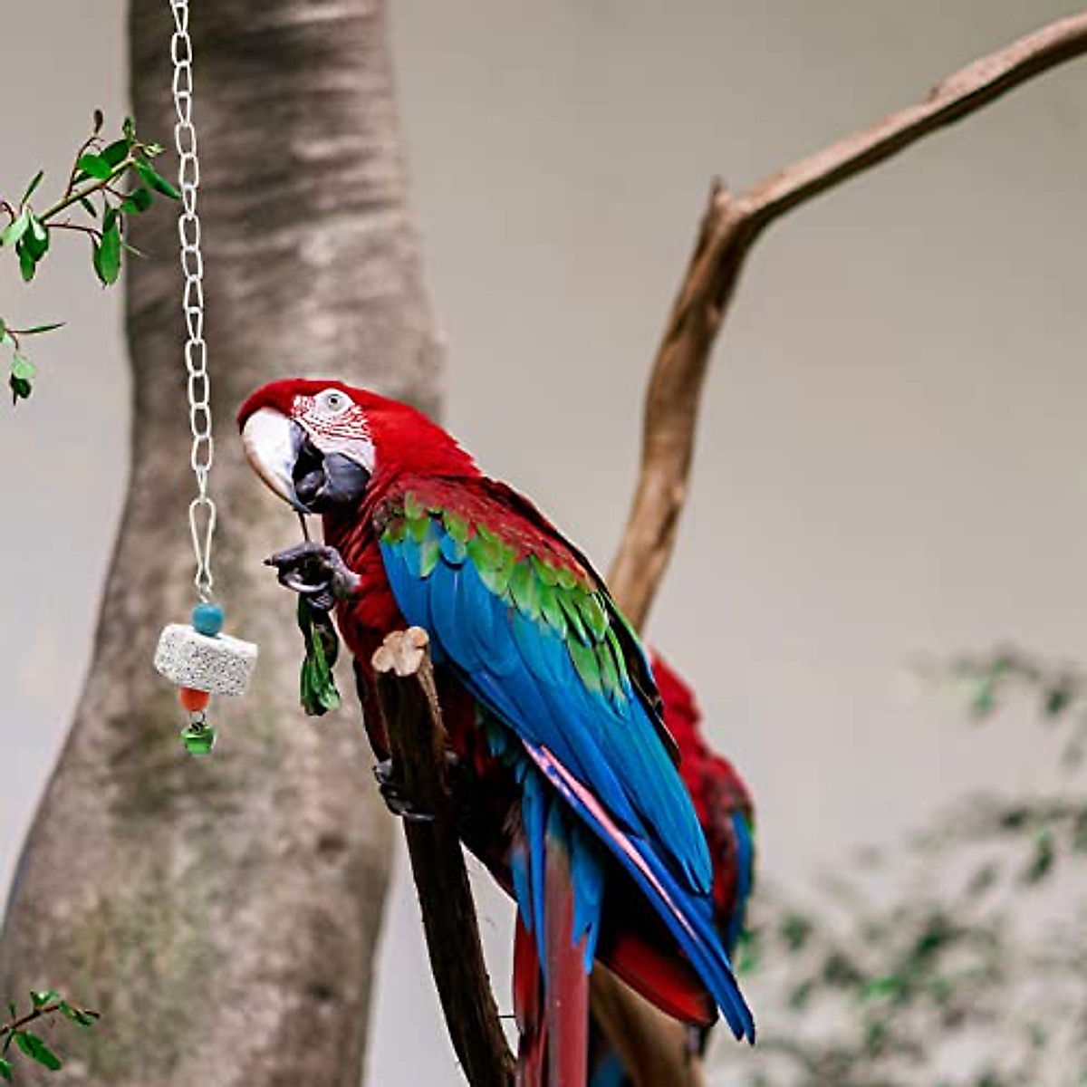 Ipetboom Parakeet Toys Parrot Toy Bird Chewing Perch Wooden Bird Hanging Swing Ferris Pet Parrot Chewing Toys for Parrot Sparrow Parakeet Canary Cockatiel () Parakeet Toys Parrot Toys
