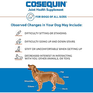 Hip and Joint Supplement for Dogs - Glucosamine for Dog Joint Supplement - with Chondroitin, MSM, Vitamins C and E for Dog Joint Relief - Mobility Bites Bacon – 120 Count