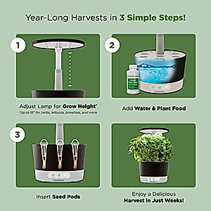 AeroGarden Harvest 360 with Gourmet Herb Seed Pod Kit - Hydroponic Indoor Garden, Black