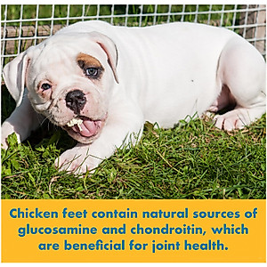 123 Treats Chicken Feet Dog Treats – 100% Natural Baked Chicken Feet for Dogs, Single Ingredient Chew Snacks, Support Joint & Dental Health | Excellent Source of Chondroitin (7 Ounces)