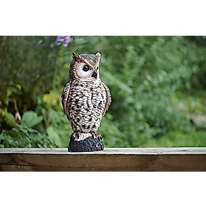 VA Resin Garden Owl Statue, Fake Owl, Fake Statue, Fake Owls, Garden Owl, Owl Décor, Realistic Owl, Owl Yard Décor, Owl.