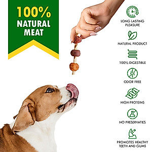 Kabobs Dog Rawhide Treats with Duck & Chicken Human Grade Meat - All Natural & Organic Dried Snacks - Grain Free Long Lasting Chews for Large & Small Dogs - Best Sticks for Training & Healthy Teeth