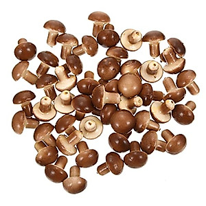 NOLITOY 50PCS Miniature Mushrooms Decorations Fairy Garden Miniature Mushroom Mini Mushrooms Figurines Micro Landscape Plant Pot Bonsai Cake Decor