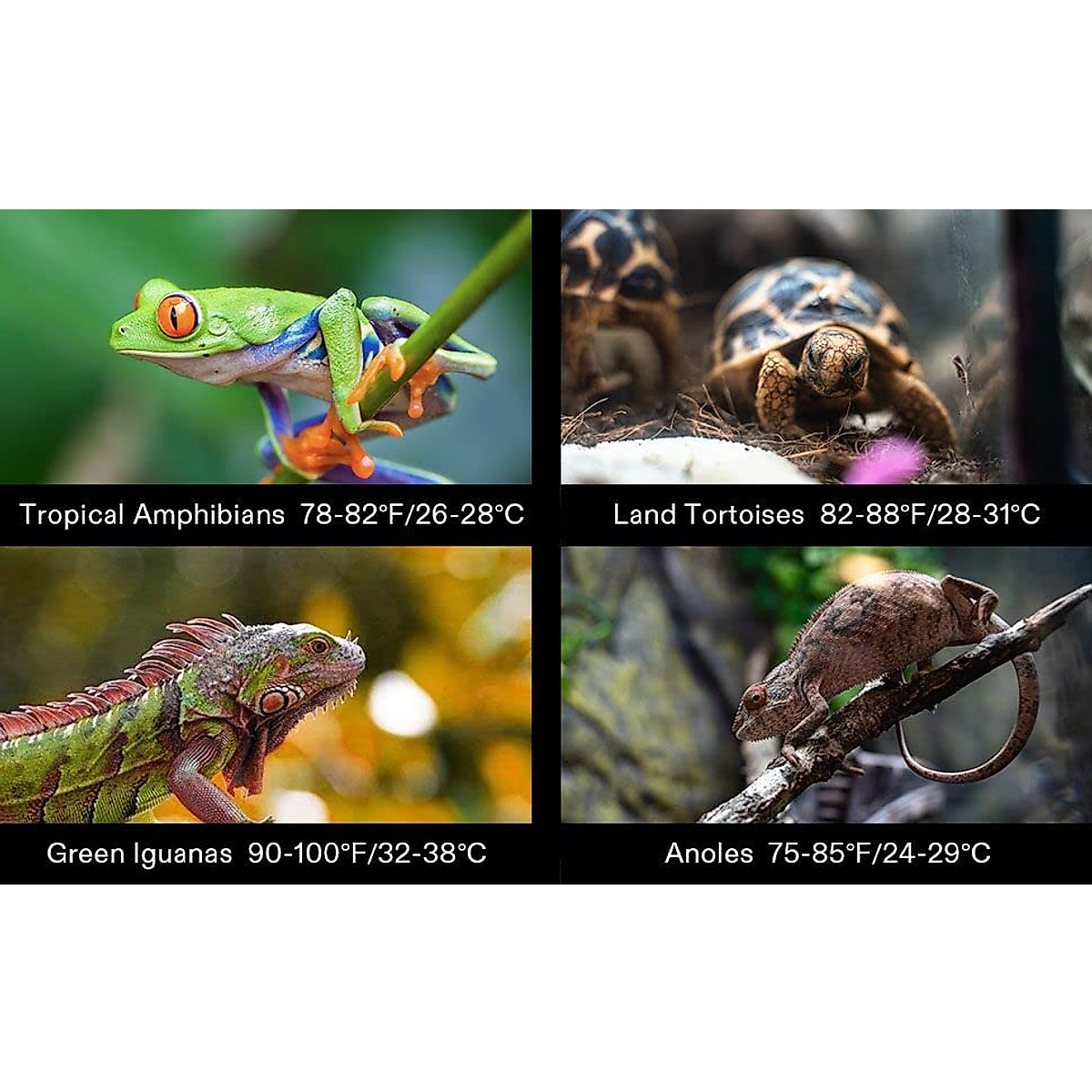 VIVOSUN Reptile Heating Pad 6x8 Inch with Thermostat Combo Under Tank Terrarium Heating Mat Waterproof for Turtles, Lizards, Frogs, and Other Reptiles