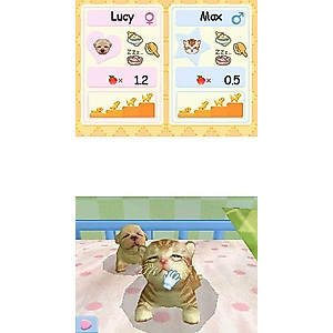 Petz Nursery 2 - Nintendo DS (Renewed)