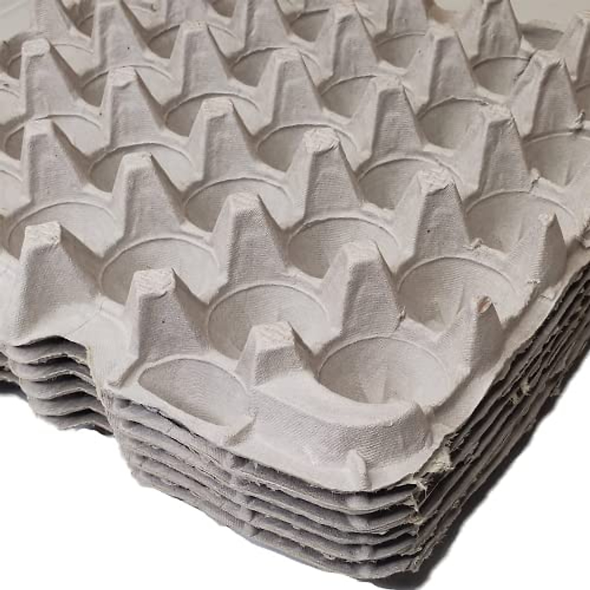 Dubia Roach Colony Starter Kit, 1Lb Organic Feeder Insect Gut Loading Chow, Water Crystals, 6 Egg Flats, for Breeding Insects, Cricket Alternative, for Bearded Dragons, Leopard Geckos, Reptiles