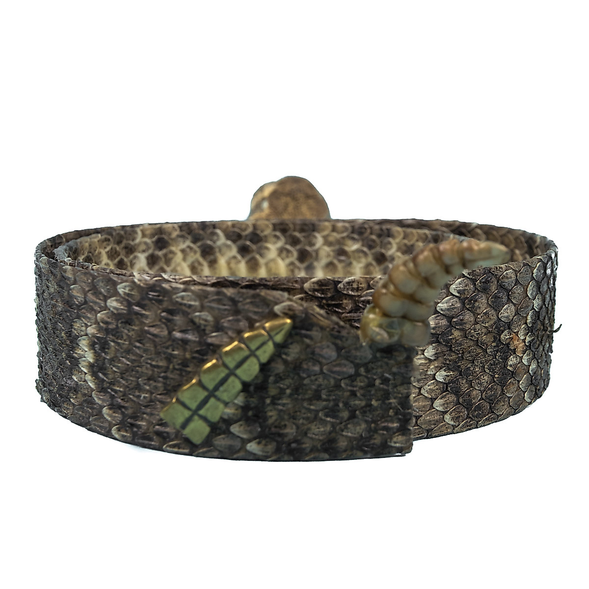 1.25" Rattlesnake Hat Band with Head & Rattle (598-HB204)