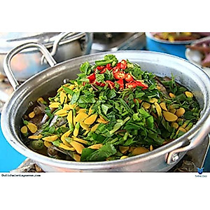 300 Sesbania Sesban Seeds - Điên điển - Fast Growing Yellow Hummingbird Tree (Egyptian Rattle pod - Egyptian Riverhemp) Vietnamese Herb and Vegetable