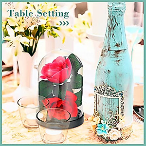 Zhengmy 12 Pcs Plastic Dome Display Case Cloche Bell Jar with Base Clear Decor for Collectibles Rose Office Home Tabletop CenterPc Decor, 5 x 3.3 Inch, Black