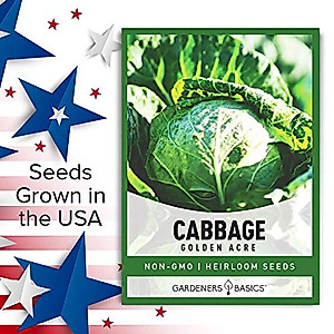 Cabbage Seeds for Planting - Golden Acre Green Heirloom, Non-GMO Vegetable Variety- 1 Gram Approx 225 Seeds Great for Summer, Spring, Fall, and Winter Gardens by Gardeners Basics