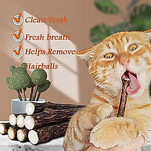10 PCS Catnip Sticks Organic Cat Chew Toys Natural Plant Matatabi Silvervine Chew Sticks Cat Teeth Cleaning Chew Toy Cat Kitten Kitty 1