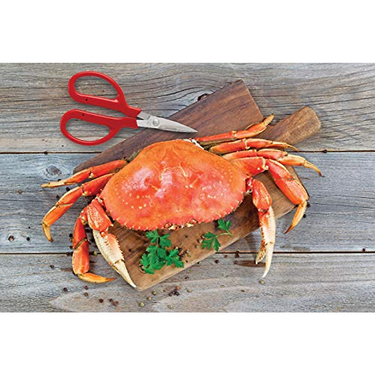 Maine Man Crab Seafood Scissors, Japanese Stainless Steel Blades, 6.25-Inches x 3.25-Inches