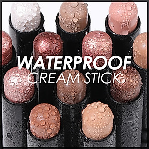 FOCALLURE Shimmer and Matte Cream Eyeshadow Stick,Smooth Brilliant Eye Brightener Pencil,High Pigment Eye Highlighter Pen for Women,Long Lasting Waterproof Eye Shadow and Liners Makeup (FAWN)