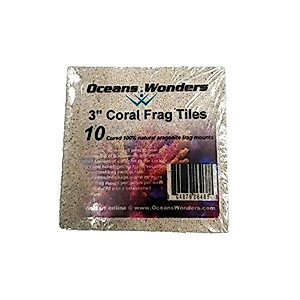 Oceans Wonders XXL 3" Coral Frag Tiles 10pc
