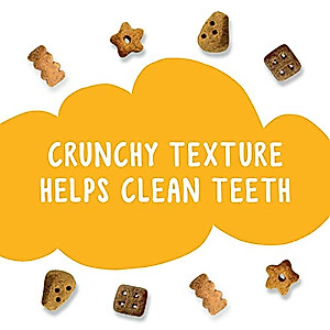 Purina Friskies Made in USA Facilities Cat Treats, Party Mix Cheezy Craze Crunch - 20 oz. Canister