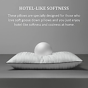 downluxe Goose Down Pillows - Hotel Collection Feather Pillows for Back, Stomach or Side Sleepers, Down Pillows King Size Set of 2 (20"x36")