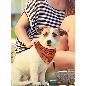 Boao 6 Pieces Chiffon Scarf 1950s Square Scarf Neck Head Scarfs Vintage Soft Scarf Polyester Scarves for Women Girl Lady (Red, Pink, Coffee, Atrovirens, Light Blue, Light Purple,)