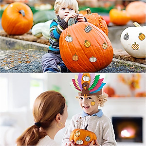 480 Pcs Pumpkin Stickers for Kids Fall Thanksgiving Autumn Stickers Farmhouse Rustic Pumpkin Stickers Buffalo Plaid Pumpkins Stickers for Fall Thanksgiving Party Classroom Decor (Delicate Style)