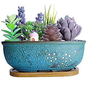 ARTKETTY Succulent Pots, 7.9" Rectangle Succulent Planters with Drainage Tray, Shallow Planters for Indoor Plants Ceramic Cactus Pots Bonsai Flower Plant Container for Home Windowsill Decor