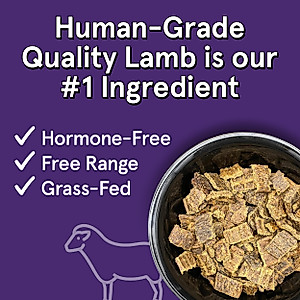 TRMC Real Meat Air Dried Dog Food w/Real Lamb - 5lb Bag of USA-Crafted Grain-Free Real Meat Dog Food Sourced from Hormone-Free, Free-Range, Grass-Fed Lamb - Digestible, All Natural, High Protein Lamb