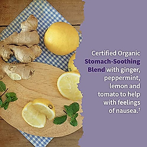 Garden of Life Women’s Prenatal Multivitamin with Vitamin D3, B6, B12, C & Iron, Folate for Energy & Healthy Fetal Development mykind Organics – Organic, Non-GMO, Gluten-Free, Vegan, 60 Day Supply