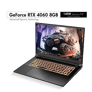 Sager 2023 NP8875D Gaming Laptop, 17.3 Inch QHD 240Hz 100% DCI-P3 G-Sync, Intel i9-13900HX, RTX 4060 8GB, 32GB RAM, 2TB Gen4 NVMe SSD, Win 11