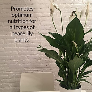 Professional Liquid Peace Lily Plant Fertilizer | 3-1-2 Concentrate for Plants and Flowers | Multi-Purpose Blend & Gardening Supplies | 8 oz Bottle