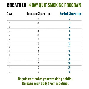 TAAT Herbal Cigarettes - Natural, Nicotine-Free, Tobacco-Free - Natural Herbal Smoking Blend Alternative with 50mg Extract for Adults - Full Flavors, Delicate Taste - 20-Stick Flip Top Pack (Menthol)