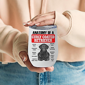 Black Curly Coated Retriever Tumbler 12oz - Funny Anatomy Chart Design - Stainless Steel Vacuum Insulated Wine Cup With Lid - Gifts for Dog Lovers