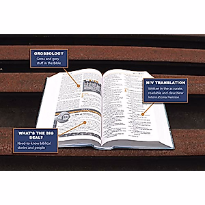 NIV, Boys' Bible, Leathersoft, Brown Camo, Comfort Print