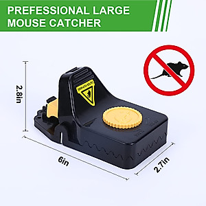 Mouse Traps,Mice Traps for House,Small Rat Traps That Work,Mice Killer Indoor Mouse Snap Traps No See Kill Mousetraps Quick Effective Mouse Catcher for Family and Pet-8 Pack