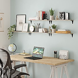 Wallniture Arras 24"x4.5" Floating Shelves Wall Mounted, Living Room Wall Bookshelf, Office Wall Decor & Floating Shelf for Kitchen, Wall Shelves for Bedroom Set of 5, Natural Wood Shelf