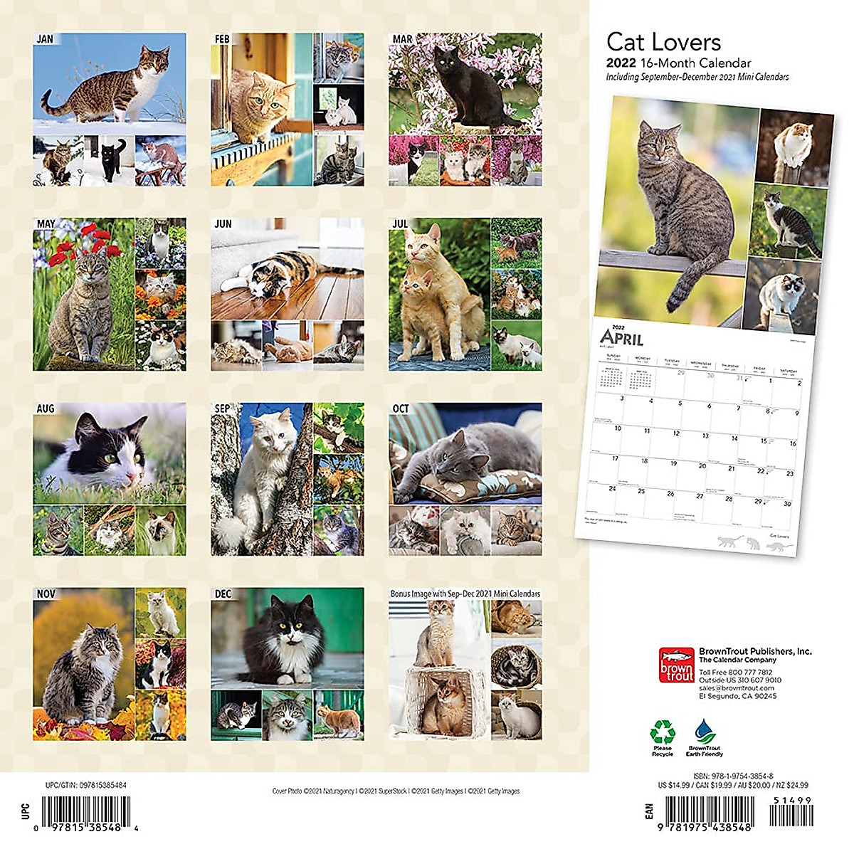 Cat Lovers 2022 12 x 12 Inch Monthly Square Wall Calendar with Foil Stamped Cover, Animals Domestic Kittens Feline