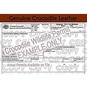 Oztrala】Leather Hat Crocodile Band Australian Outback Dundee Aussie Mens Womens Jacaru Black Brown Cowboy HLC1 US (Black, ML)