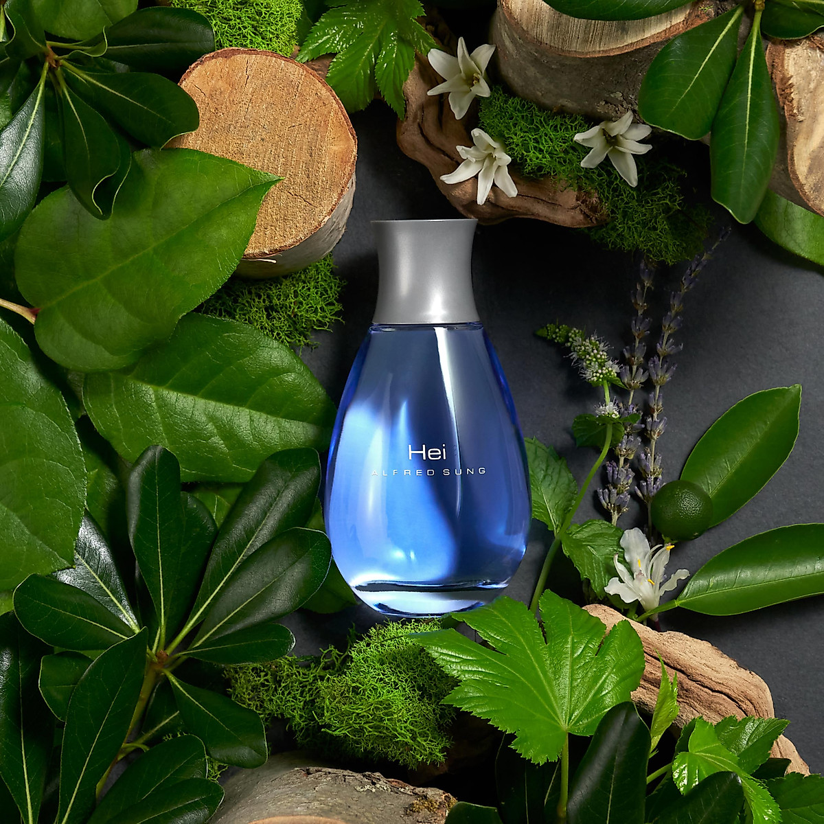 Alfred Sung HEI Cologne For Men, Eau De Toilette Spray Vaporisation for Day or Night, 3.4 oz