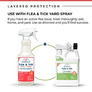 Wondercide - Flea, Tick & Mosquito Spray for Dogs, Cats, and Home - Control, Prevention, Treatment - with Natural Essential Oils - Pet and Family Safe - Peppermint 16 oz