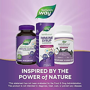 Nature's Way Sambucus Elderberry Immune Syrup for Kids Ages 2+, with Echinacea & Propolis, Daily Immune Support*, Vegetarian, Berry Flavored, 8 Fl Oz (Packaging May Vary)