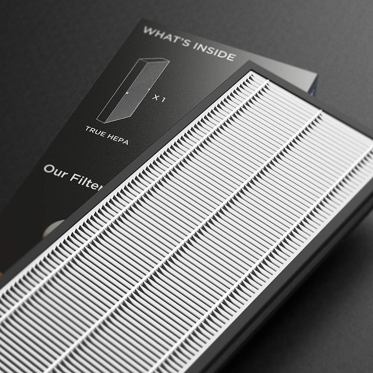 Eureka NEA-F1 True HEPA Filter, Filter Replacement for Eureka NEA120 , Black