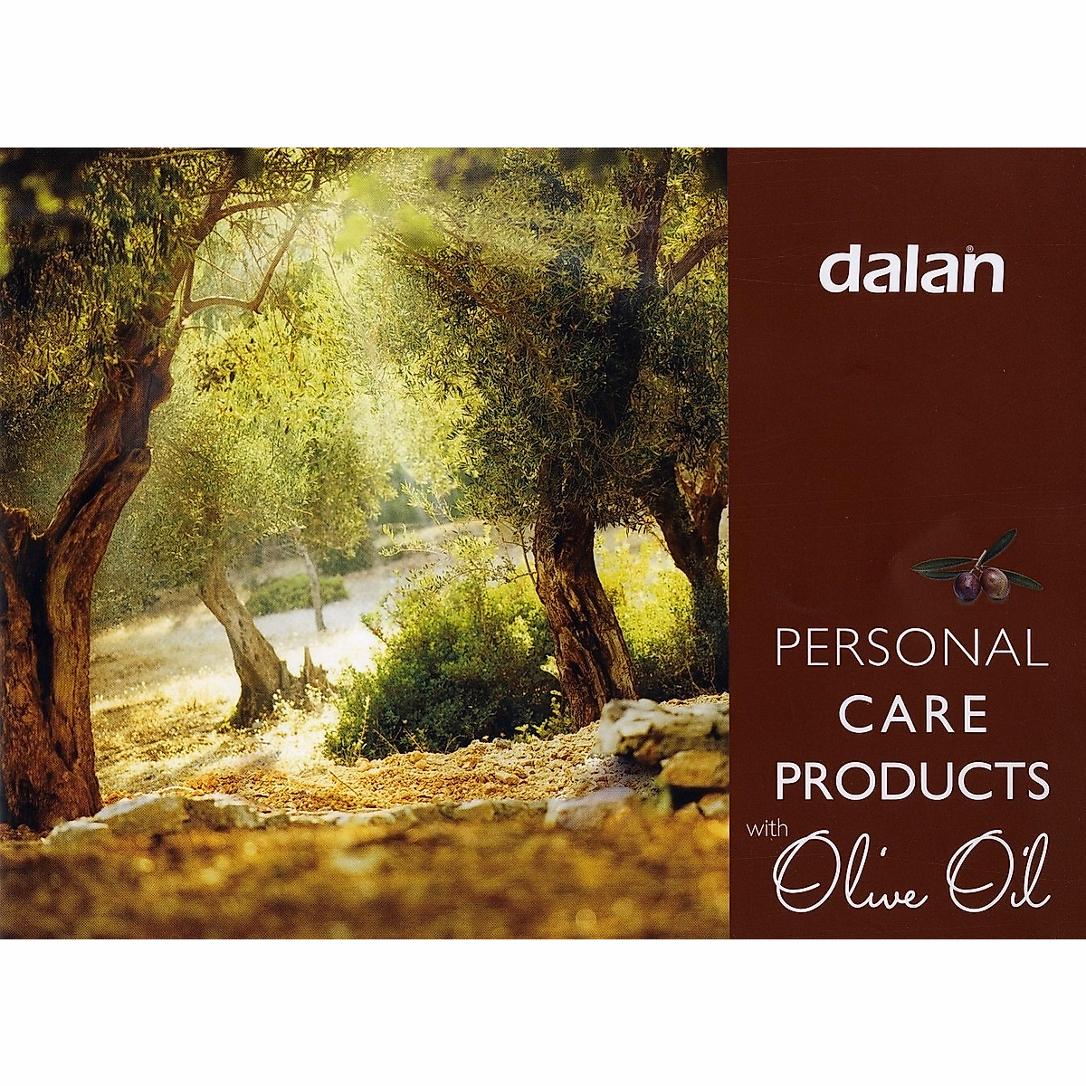 Dalan 100% Pure Olive Oil Hair Conditioner Repair Care for Dry and Damaged Hair Preventing it from Forming Split Ends Paraben-Silicon-PEG Free 6.8 fl.oz.
