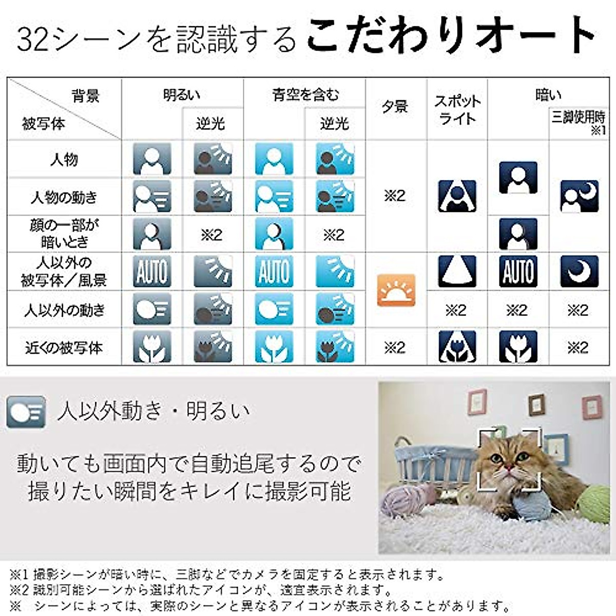 Canon compact digital camera IXY 650 12x optical zoom IXY650 (SL) (Silver)--(Japan Import-No Warranty)